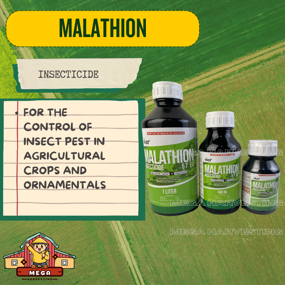 MALATHION VAST 57 EC 1L 500ML 250ML INSECTICIDE FOR PESTS IN RICE CORN ...