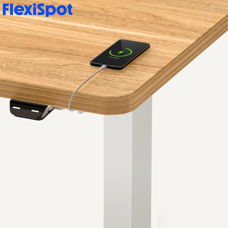 FlexiSpot E2 Electric Standing Desk Height Adjustable Table | Shopee ...