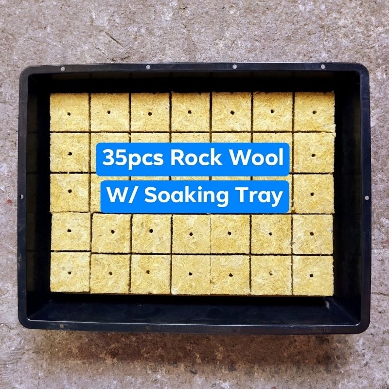 35pcs Rock wool (5cm) with Soaking Tray (TYM03) Model Bat | Shopee ...