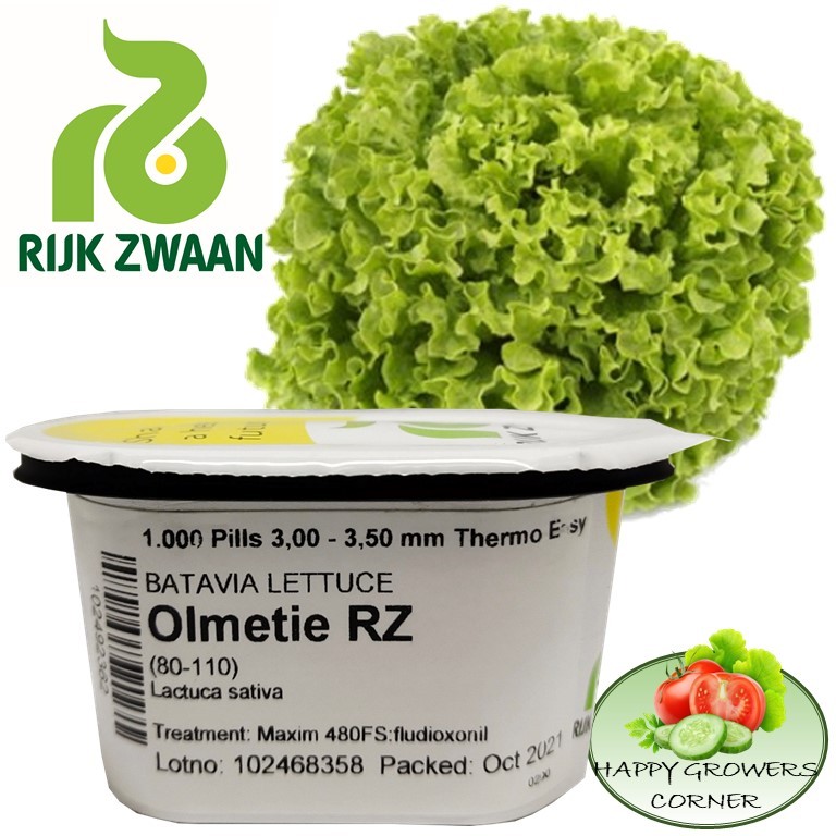 Rijk Zwaan OLMETIE RZ Green Batavia Pelleted Premium Seeds (1K TUB ...