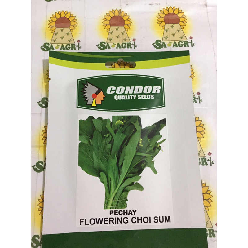 Flowering Choi Sum Pechay Seeds (5g) | Shopee Philippines