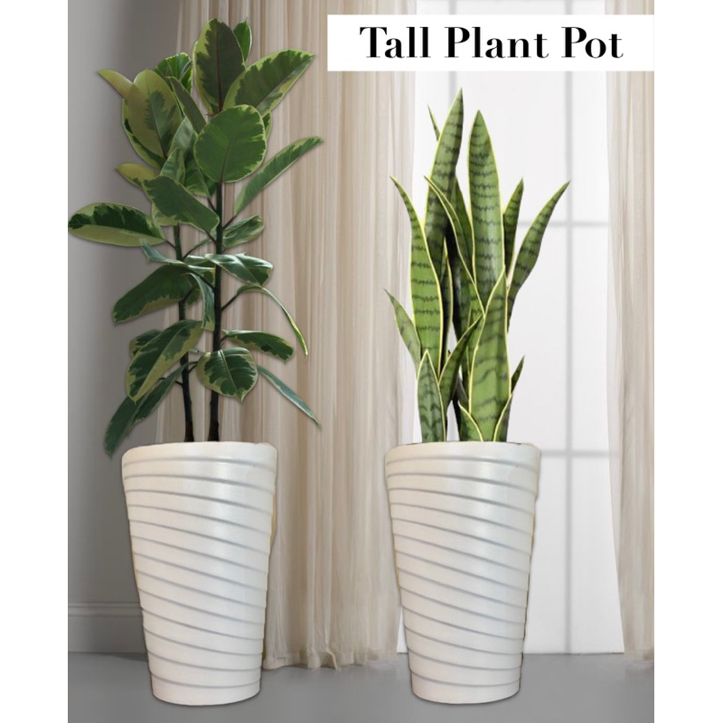 2 pcs bundle Tall Elegant pots with Catch plate for indoor and outdoor ...