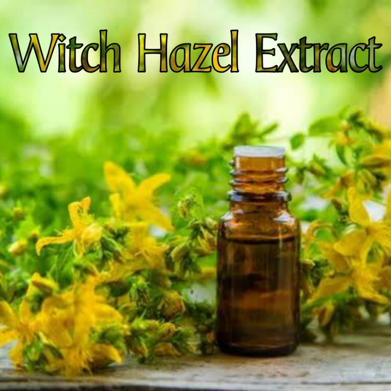 Witch Hazel Extract (Oil & Water Soluble) | Shopee Philippines