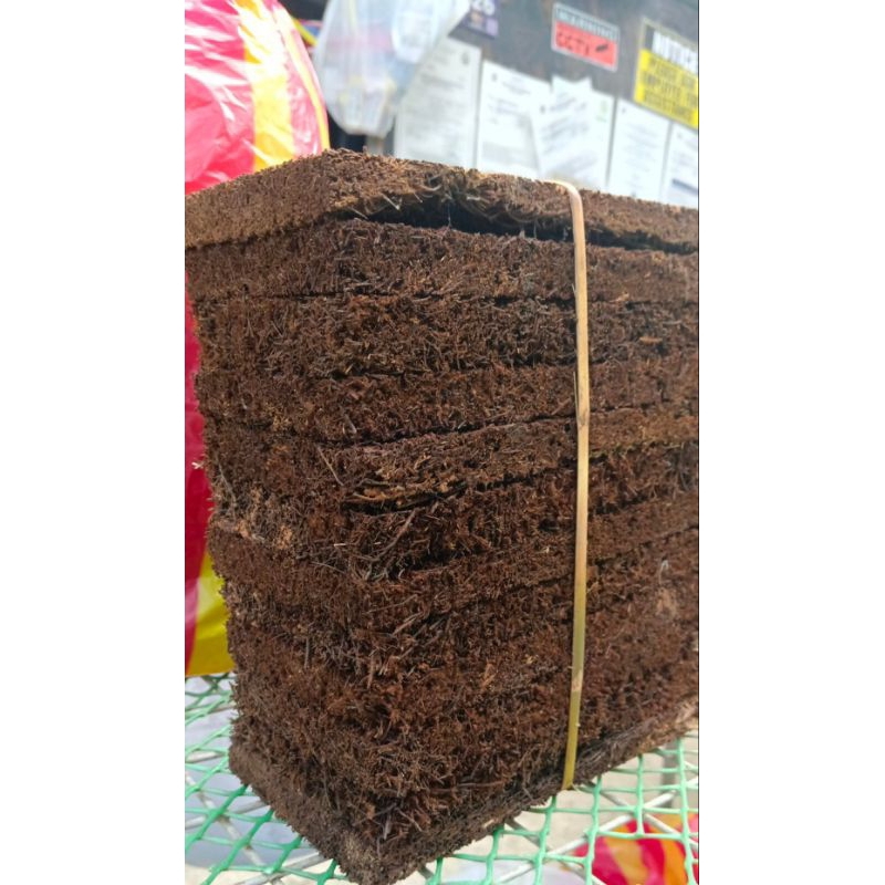 Organic Fern Slab/Block For Orchids Good For Trailing And Hanging Live ...