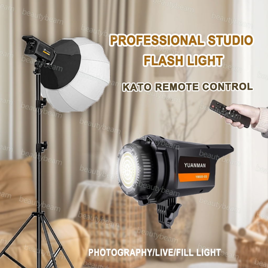Soft Box Professional Studio Flash Light Strobe Studio lighting Remote ...