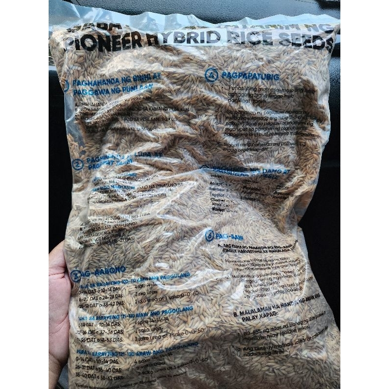 PIONEER 77 HYBRID RICE SEEDS 5KGS | Shopee Philippines