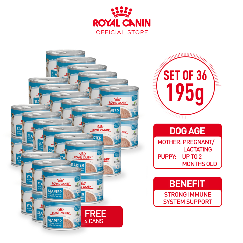 Royal Canin Starter Mousse Mother & Babydog (195g x 36 cans) Wet Food - Canine Health Nutrition ...