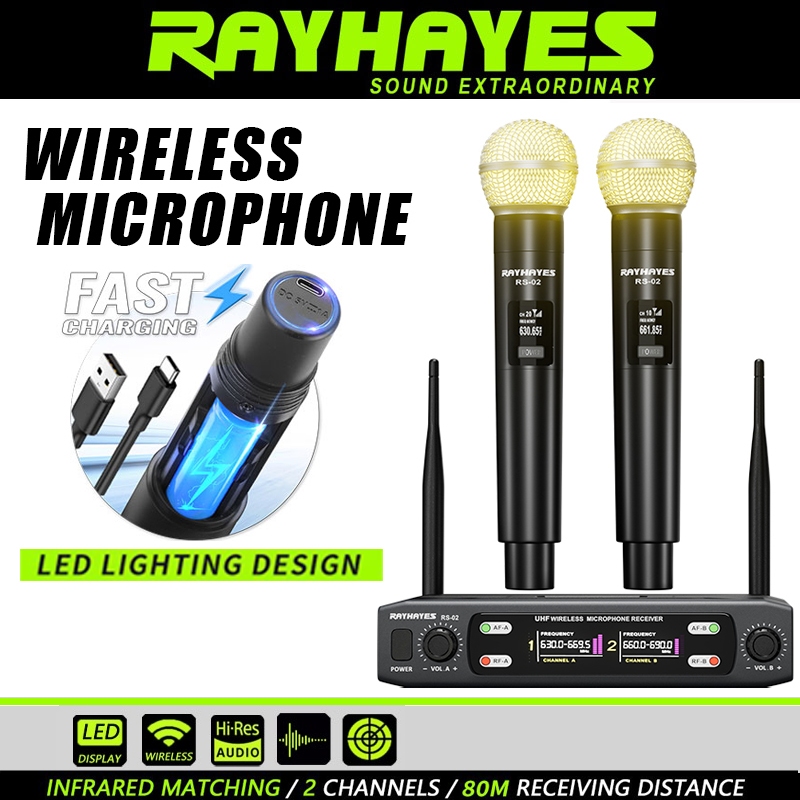 RAYHAYES Professional Wireless Microphone System For Home Entertainment ...