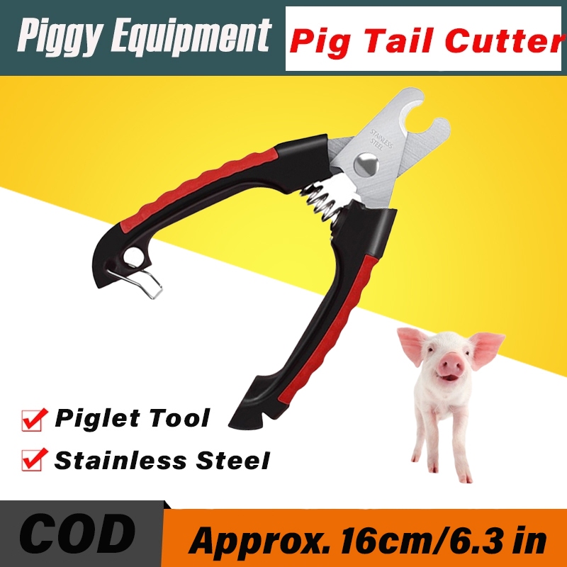 Tail Cutting Pliers Stainless Steel Piglet Tails Cutter Piglet tool Kit ...
