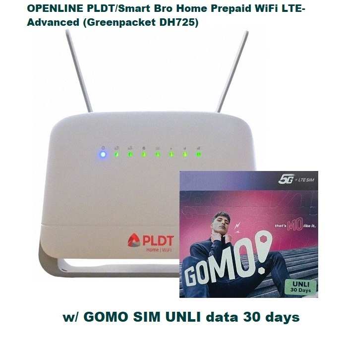 OPENLINE PLDT Home WiFi LTE-Advanced (Greenpacket DH725) w/ GOMO SIM ...