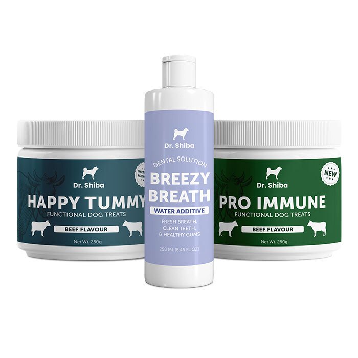 Dr Shiba Pro Immune, Happy Tummy, and New Breezy Breath Bundle, A Complete Overall Dog Health ...