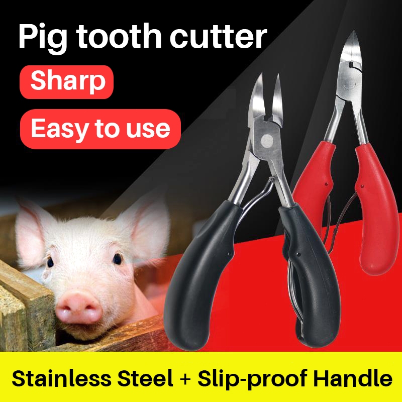 Stainless steel Pig tooth cutter Piglet teeth nipper clipper for pig ...