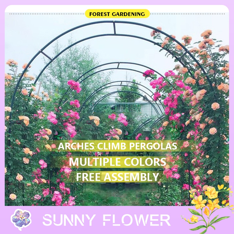 Pag akyat ng pergola, pag akyat ng mga trellises ng halaman, mga ...