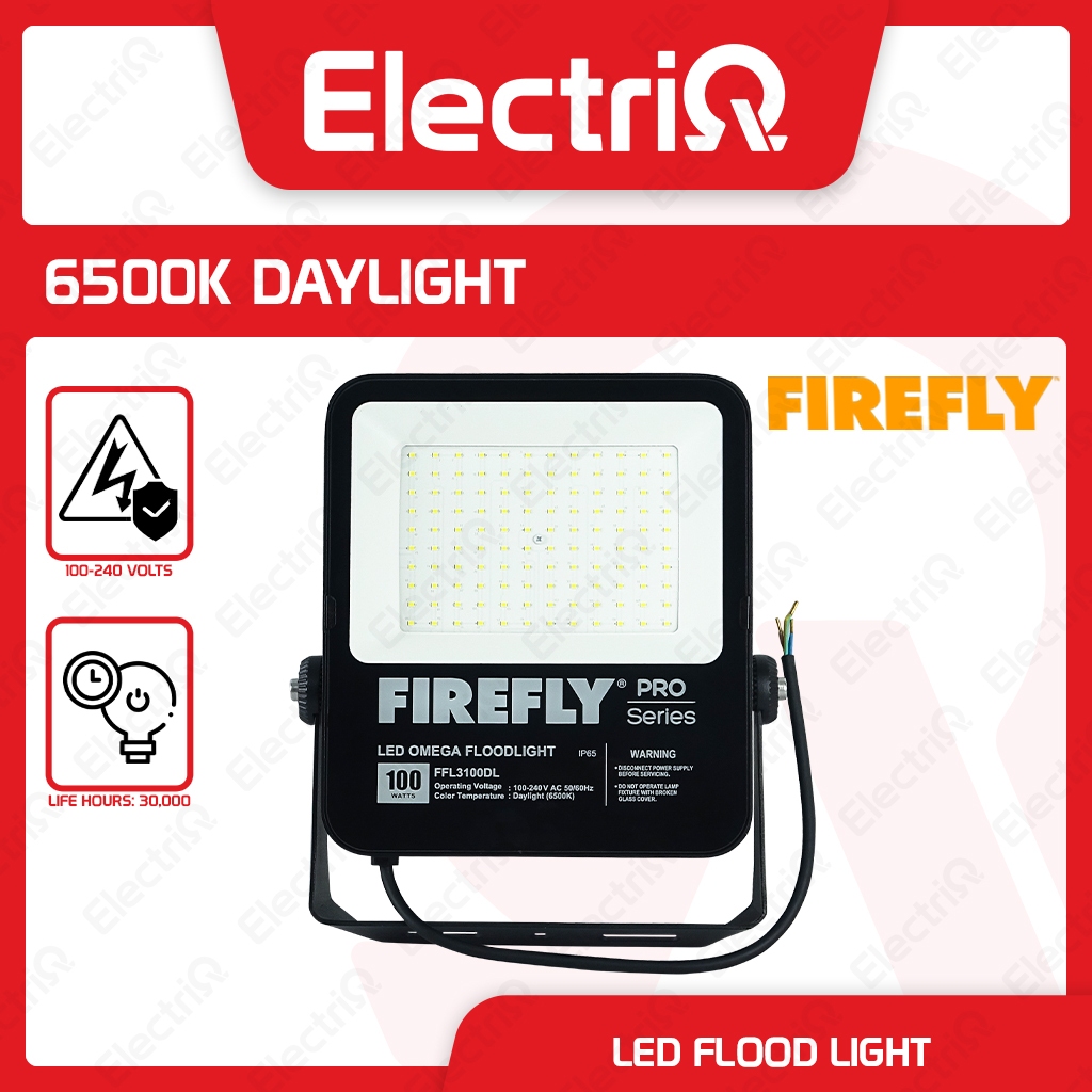 Electriq l Firefly PRO Series LED Omega Floodlight ( 100W / 100-240V AC ...