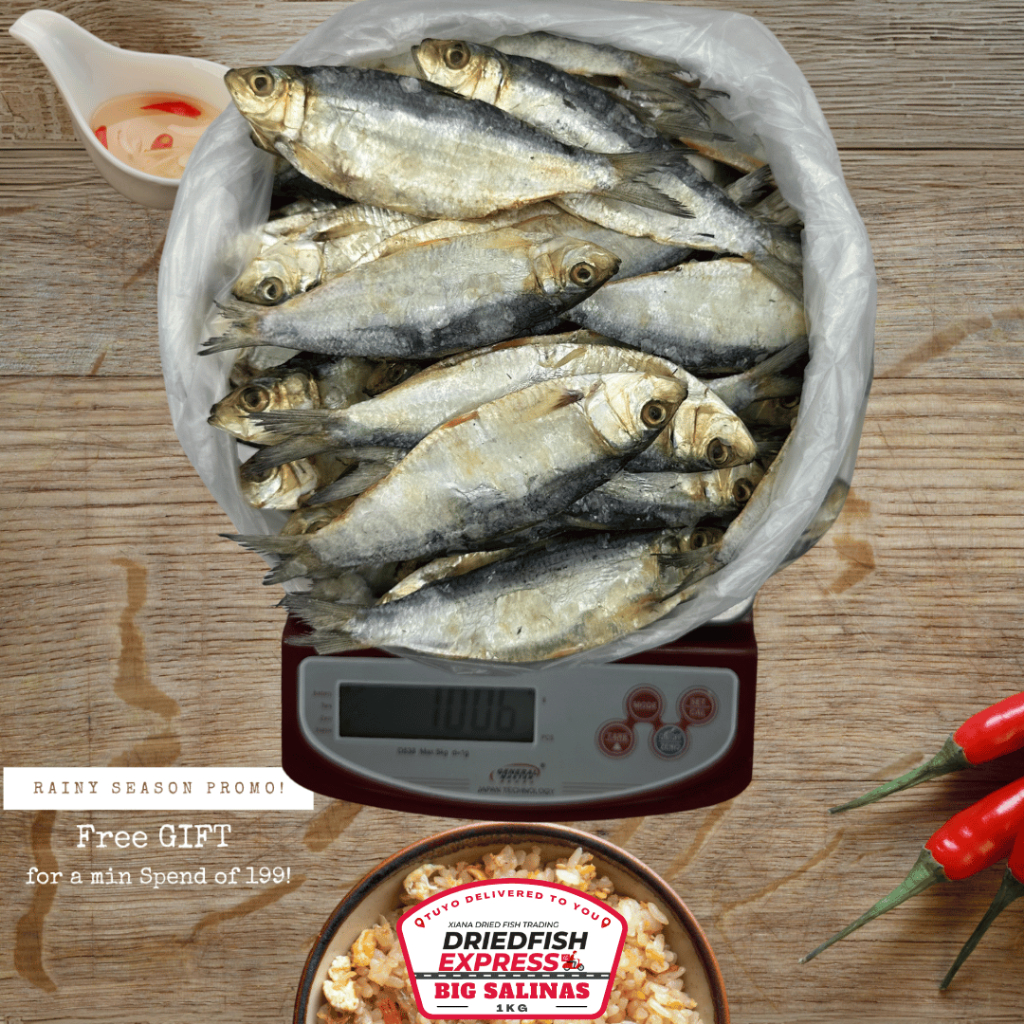 1KG TUYO WHOLESALE Dried Salinas, Tabagak, Lupoy, Small | Shopee ...