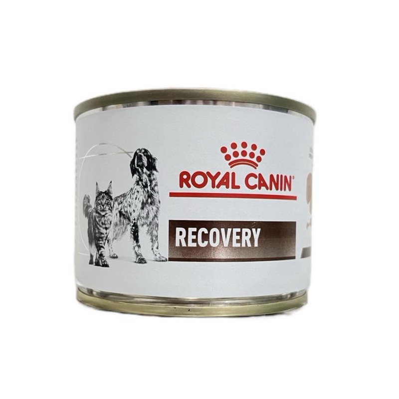 Royal Canin Recovery Veterinary Diet Can 195grams | Shopee Philippines
