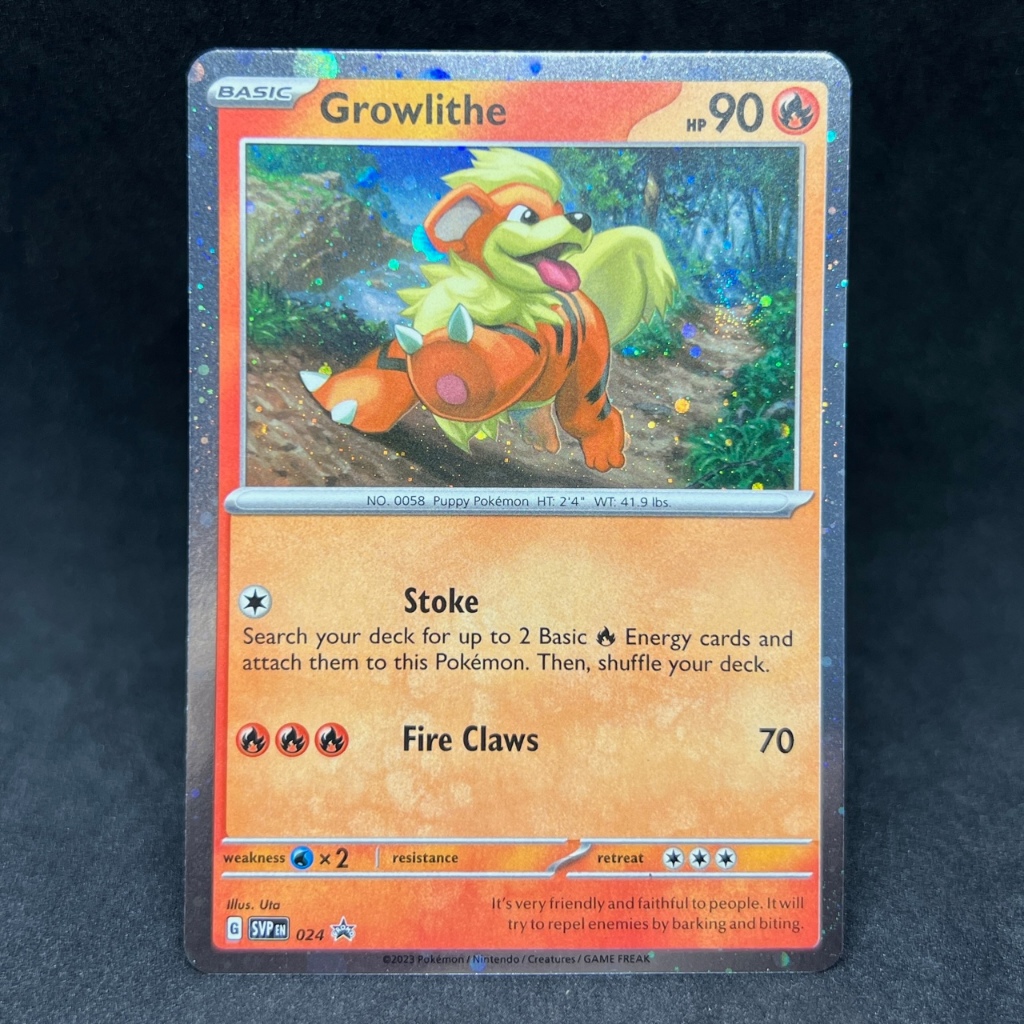 Pokemon TCG Growlithe Holo Promo SVP024 2023 Scarlet & Violet Promos ...