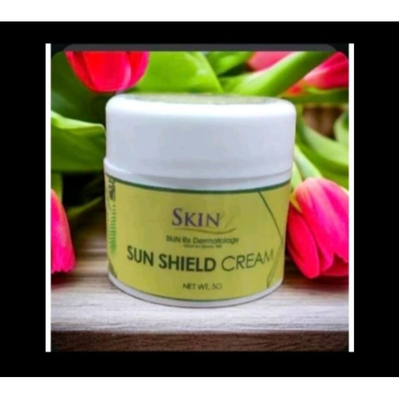 Skin21 Sun Shield 5g | Shopee Philippines