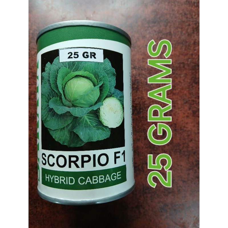 SCORPIO F1 (25 GRAMS) HYBRID CABBAGE SEEDS / REPOLYO SEEDS BY SAKATA ...