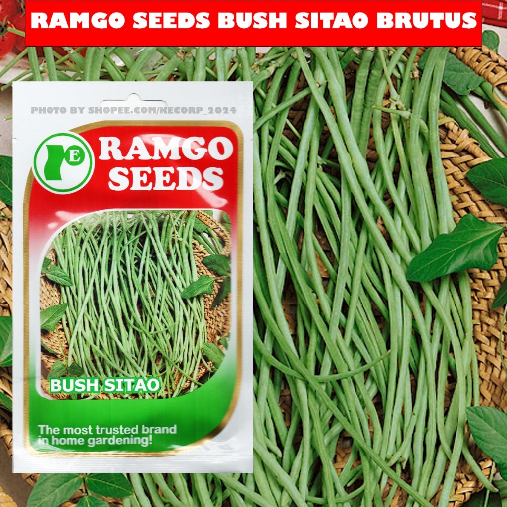 Ramgo RPO Seeds Bush Sitao Brutus 20g_kc241207 | Shopee Philippines