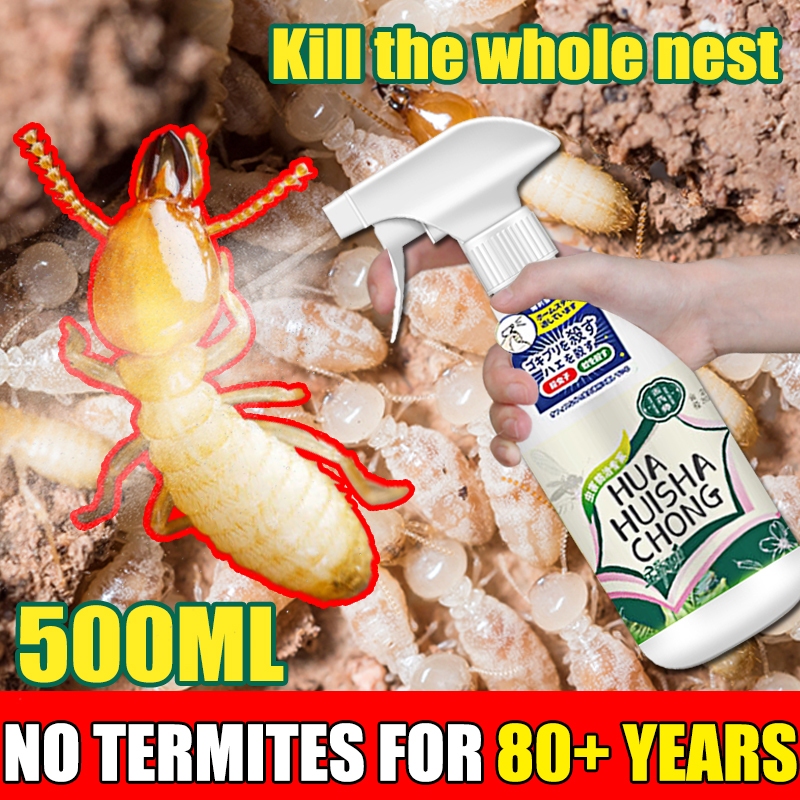 100% Effective 500ML anay killer spray Termite extermination spray Anay ...