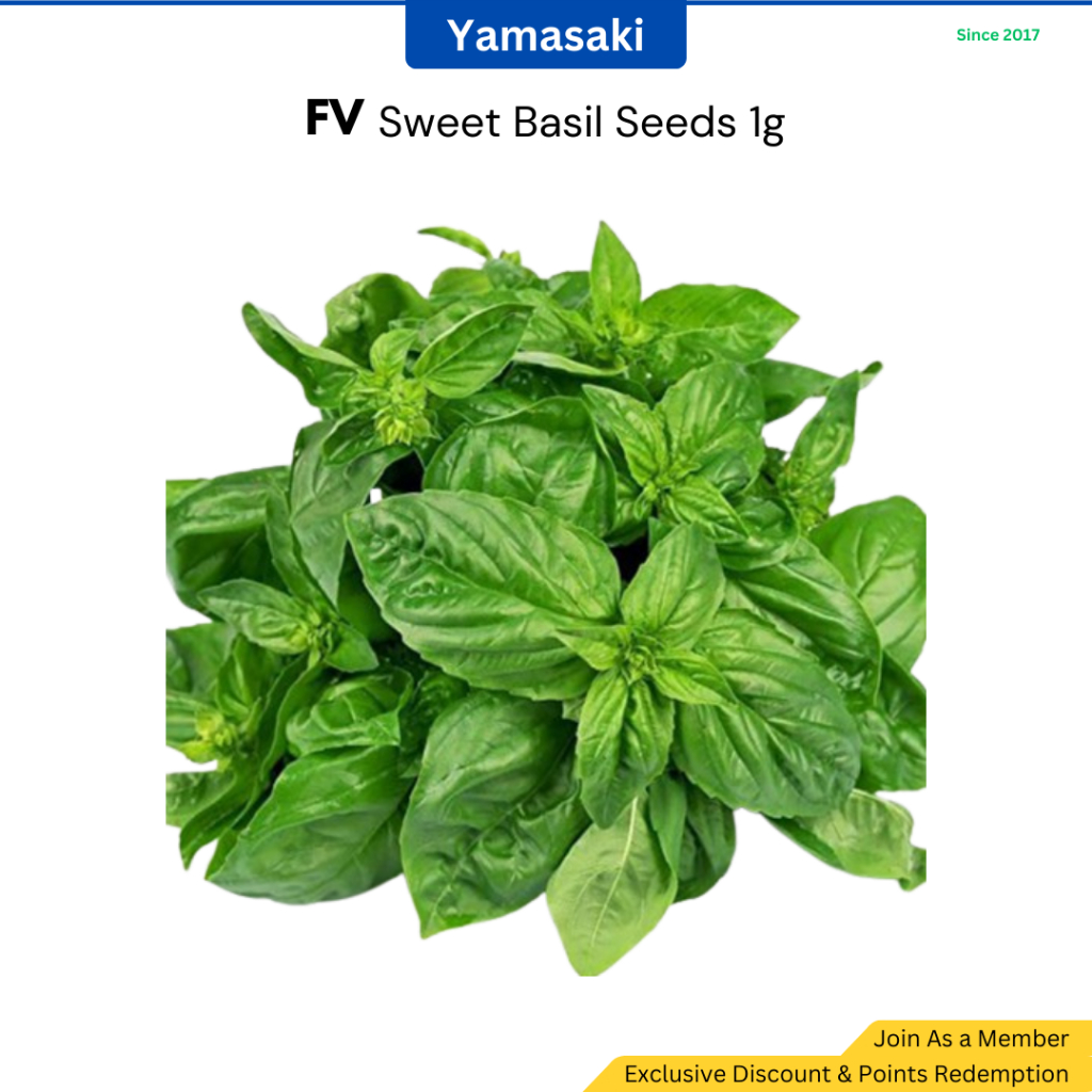 018 FV Basil Seeds 1g | Sweet Basil, Parsley, Dill, Thai Basil, Sweet ...