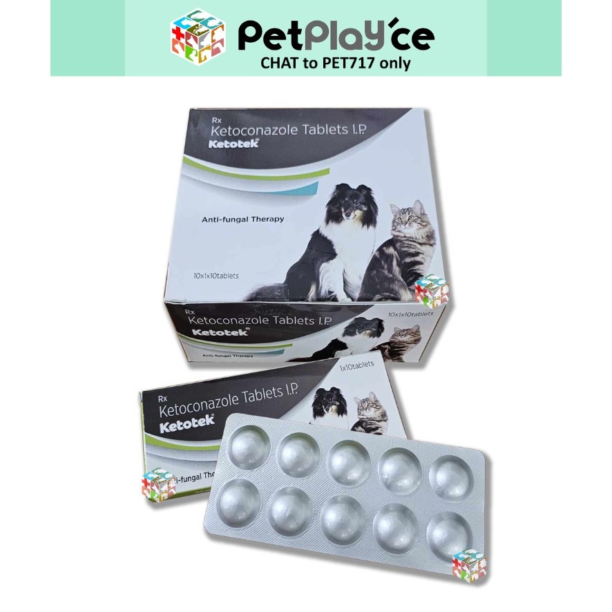 KETOTEK Ketoconazole Tablets I.P. ANTI FUNGAL THERAPY 10 Tablets for ...