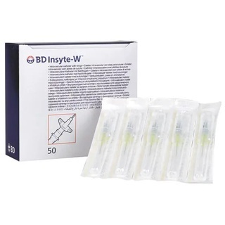 BD Insyte with Wings IV Catheter (G18, G20, G22, G24) (Per Pc) | Shopee ...