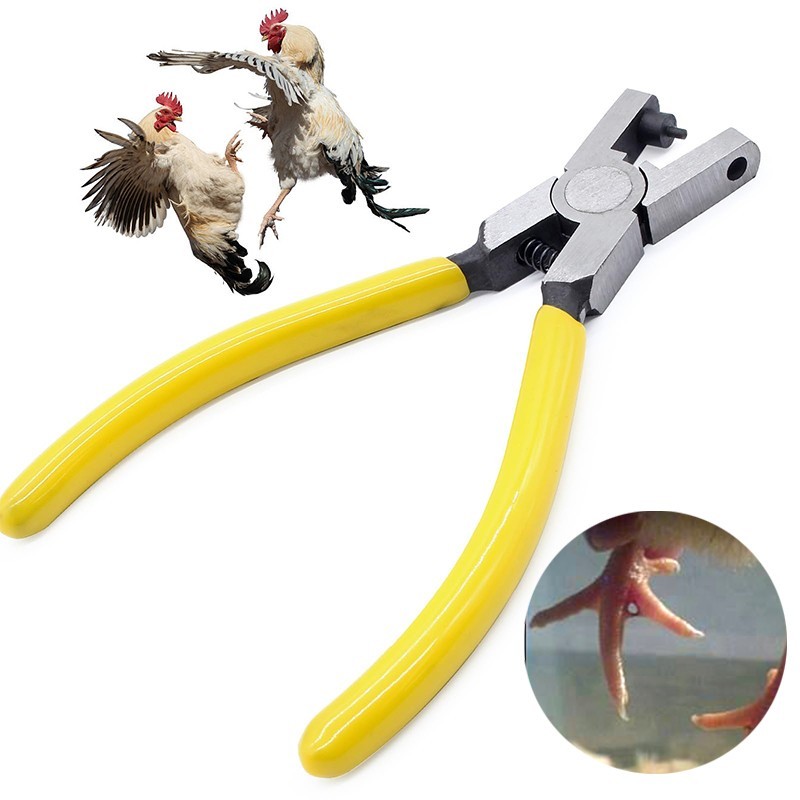 2mm Chicks toe puncher Chicken beak cutters Cockfighting feather ...