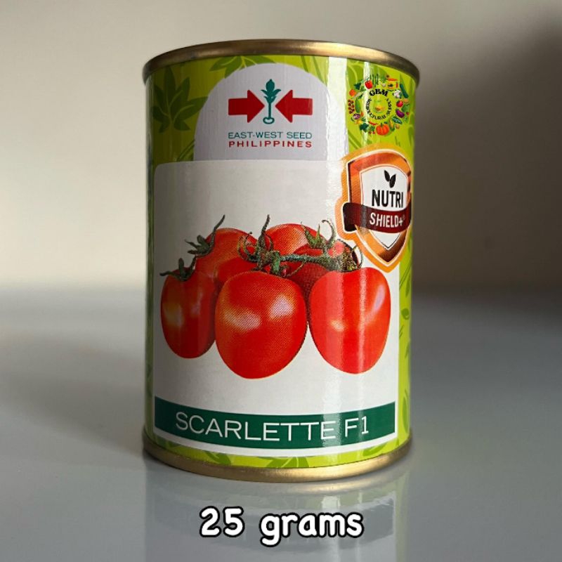 SCARLETTE F1 (25g) TOMATO SEEDS EAST WEST HYBRID KAMATIS VEGETABLE ...