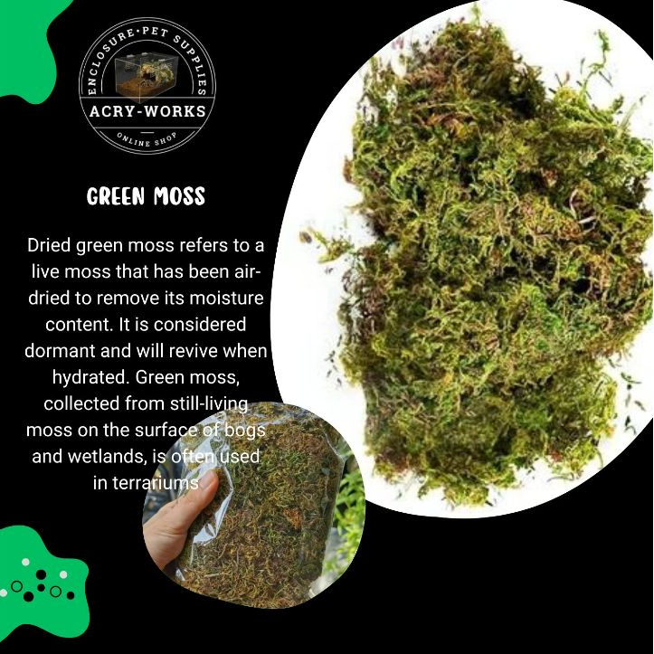 Green Moss (50 Grams) | Shopee Philippines