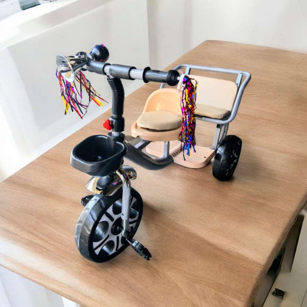 BS#129 2 Seater 3 Wheels Kids Bike Ideal for 2-6 yrs. old | Wheel for ...