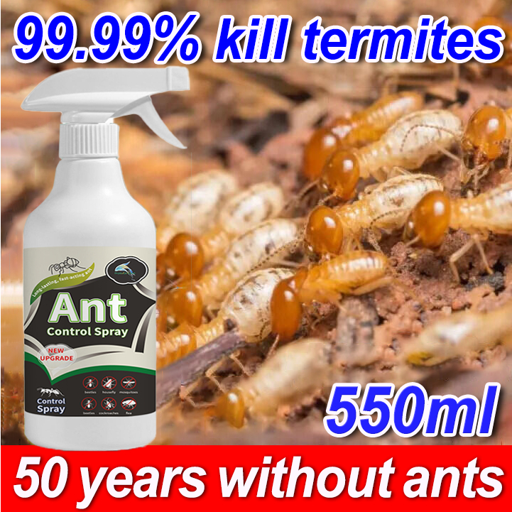 Termites killer spray 550ML Ants spray killer No termites within 1000 ...