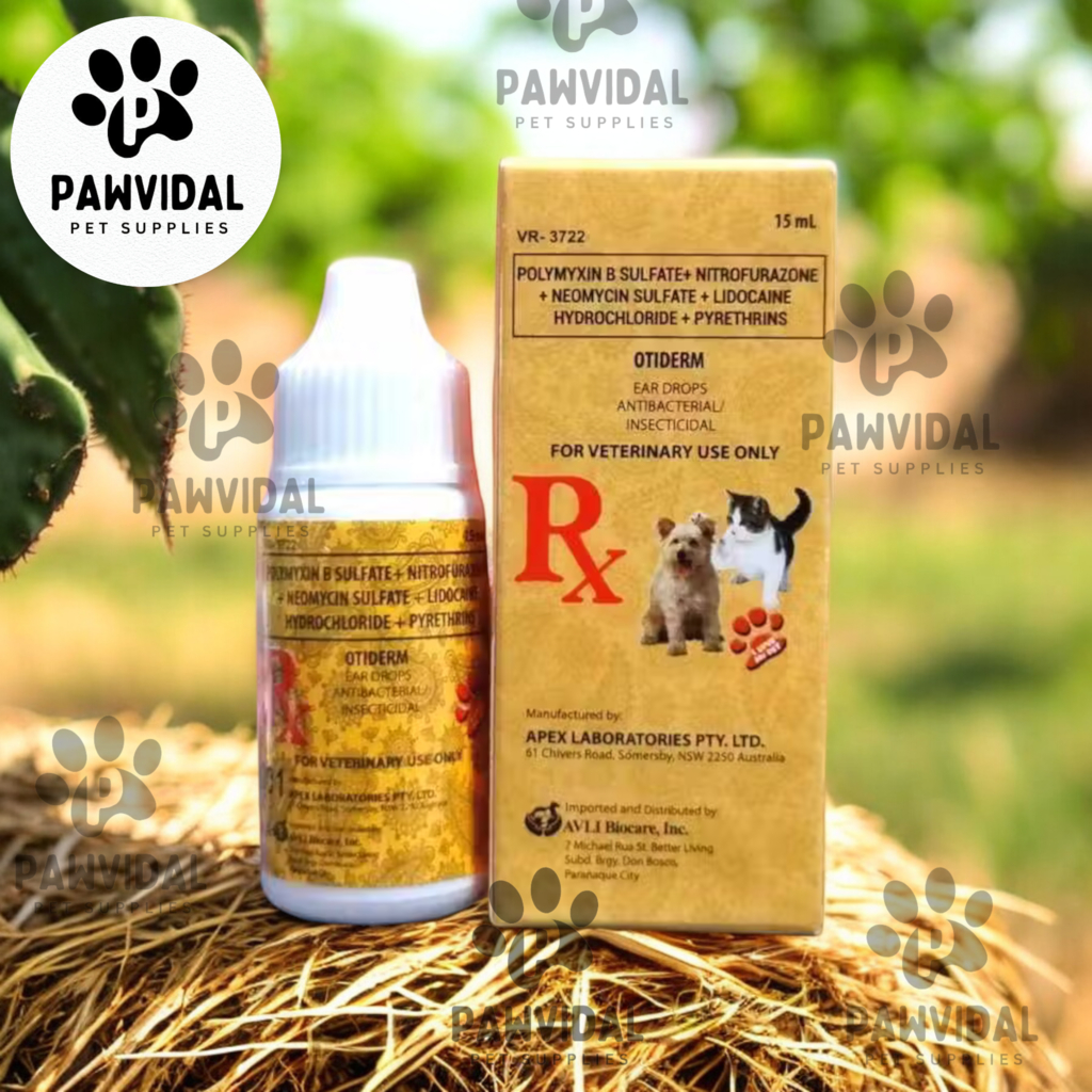 Otiderm Ear Drops 15mL | Shopee Philippines
