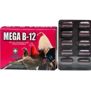 EXCELLENCE MEGA-B12 FOR GAMEFOWL (10 TABLETS) | Shopee Philippines