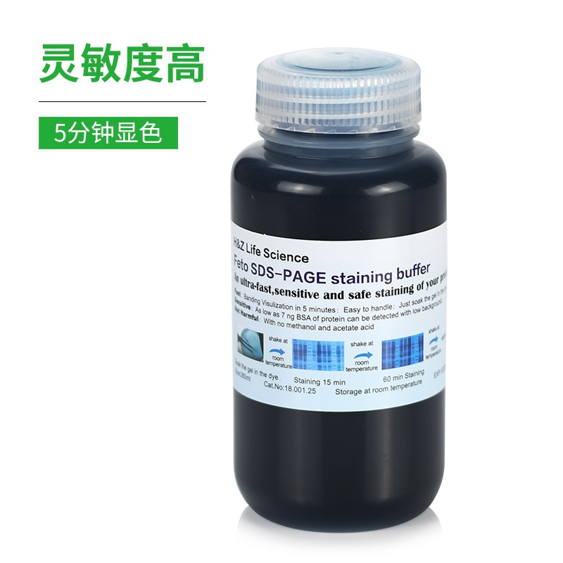 SDS-PAGE Coomassie Brilliant Blue Fast Staining Solution Protein Gel ...