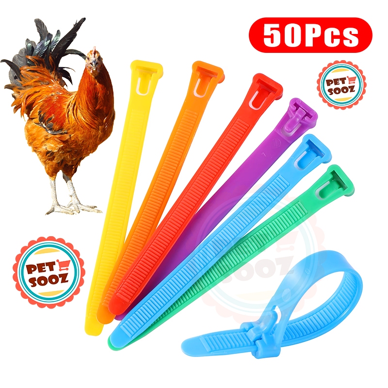 50Pcs Chicken leg band Adjustable Chicken foot ring Poultry Cable tie ...