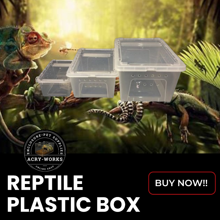 Reptile Box (Plastic Enclosure for exotic pets) | Shopee Philippines