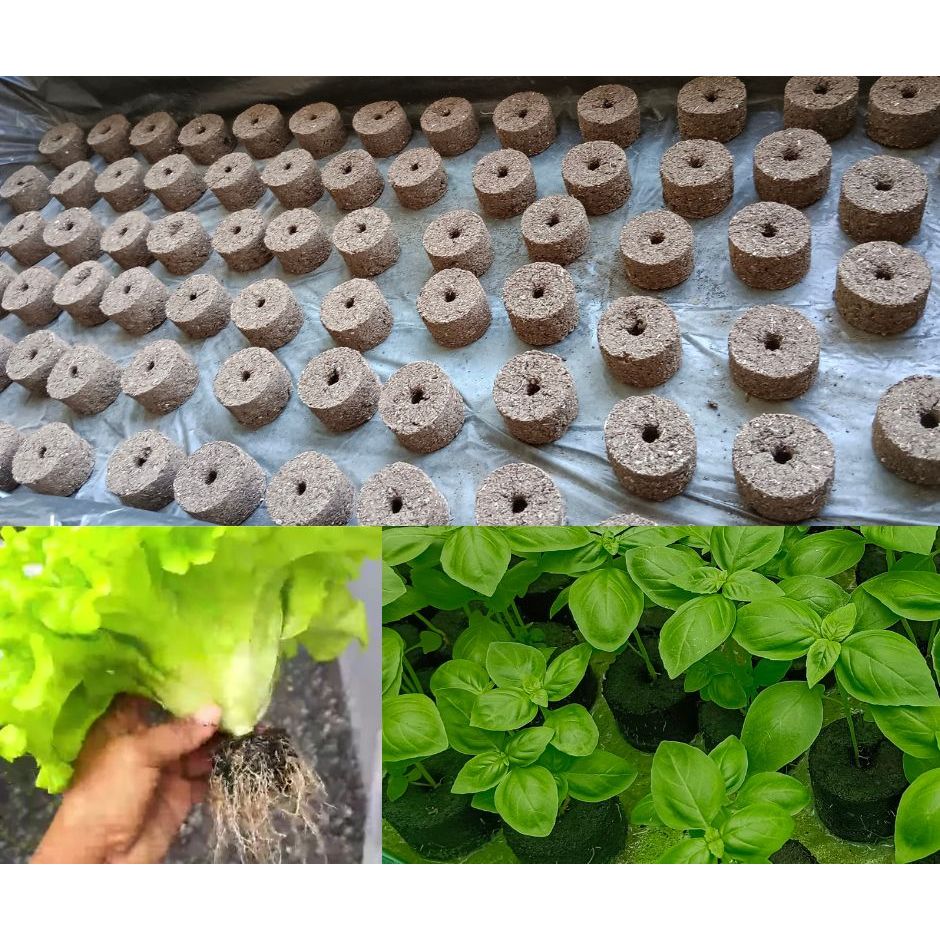 Seedling Plug Tube Potting Mix 50pcs | Shopee Philippines