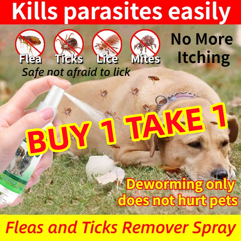 [BUY 1 TAKE 1]Tick and Flea Spray Anti Tick Garapata Dog Spray for ...