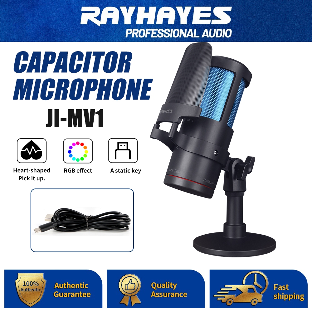 RAYHAYES USB Condenser Microphone PC with Mic Gain for PC Laptop Live ...