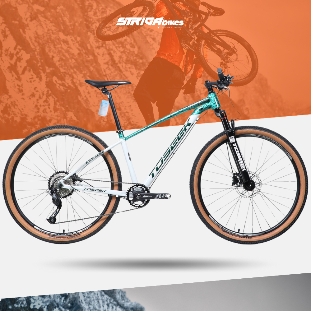 Toseek Avacier 2.0 29er Mountainbike | Shopee Philippines