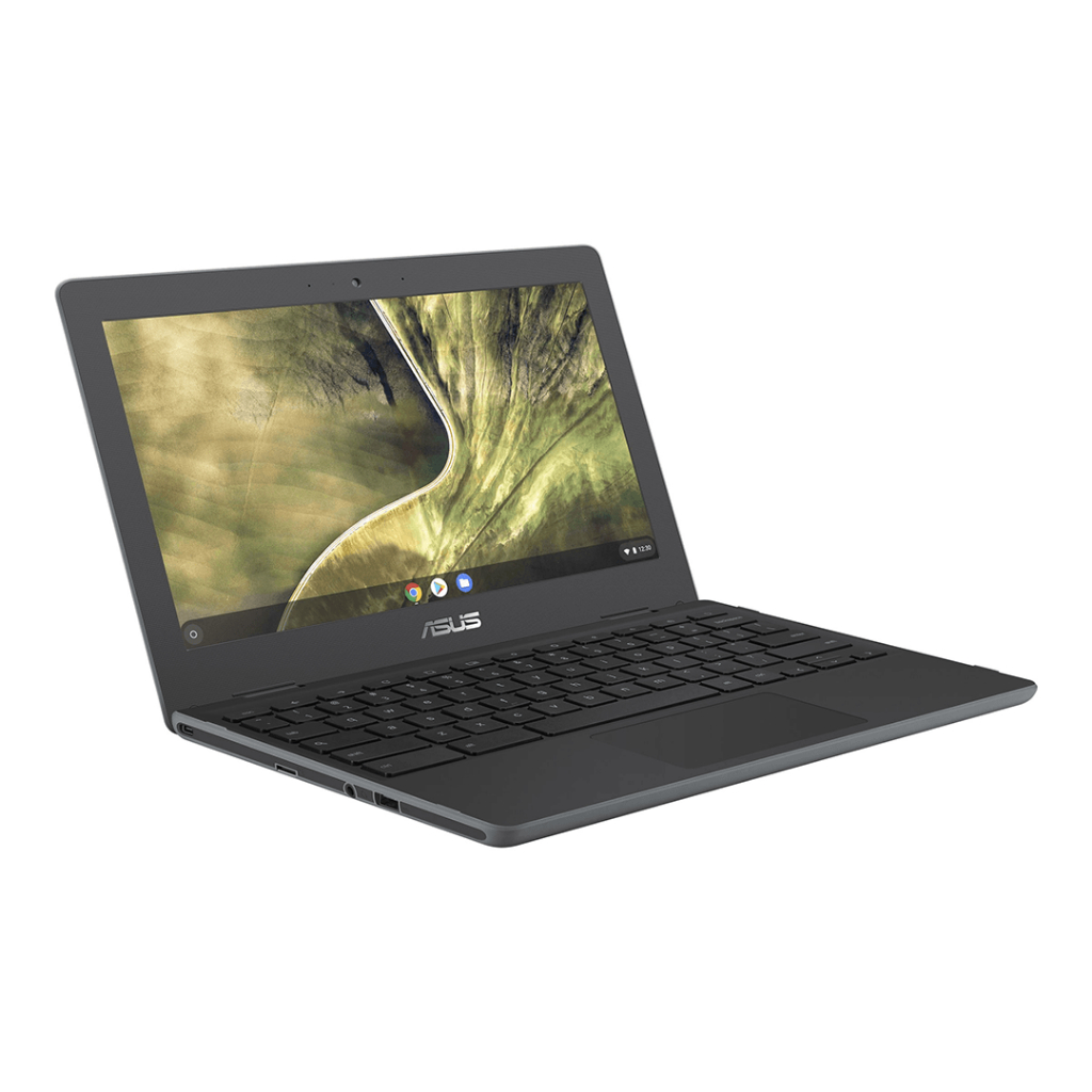 Asus Chromebook 11.6" HD Laptop Celeron N4020 4gb/32gb eMMC C204MA-YB02 ...