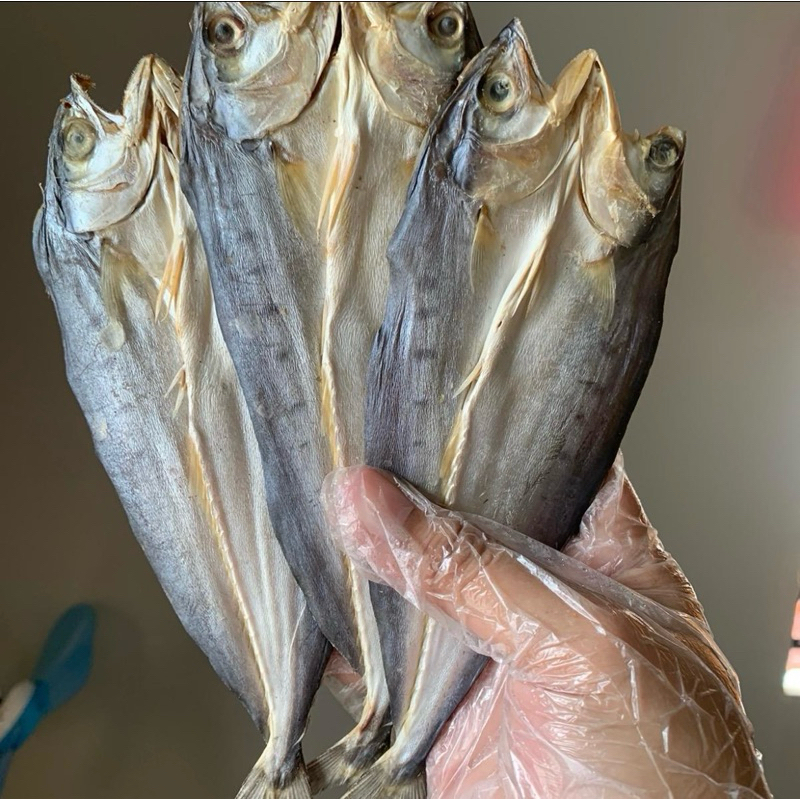 Lapis wDried Fish from Bicol 100grams Dry Seafood | Shopee Philippines