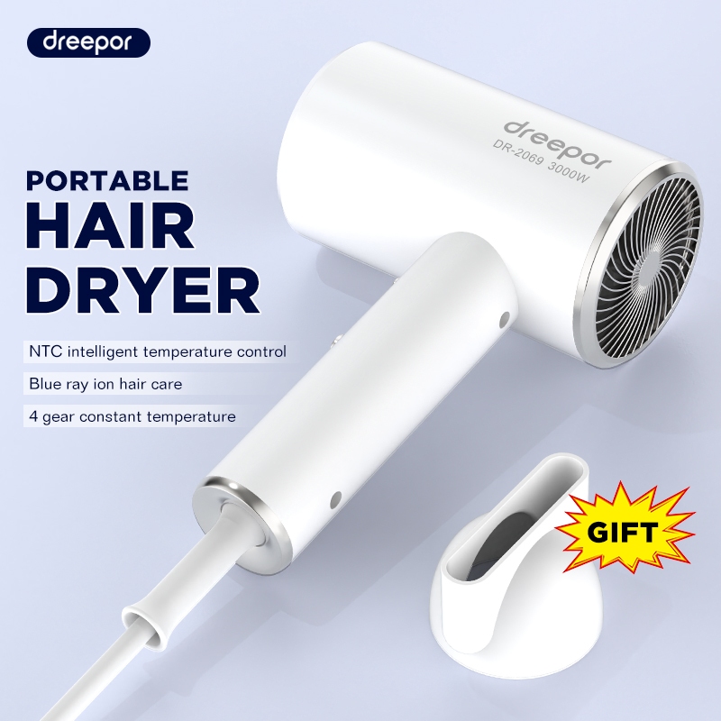 Dreepor Electric Hair Blower Blower Hair Dryer and Straightener Beauty ...