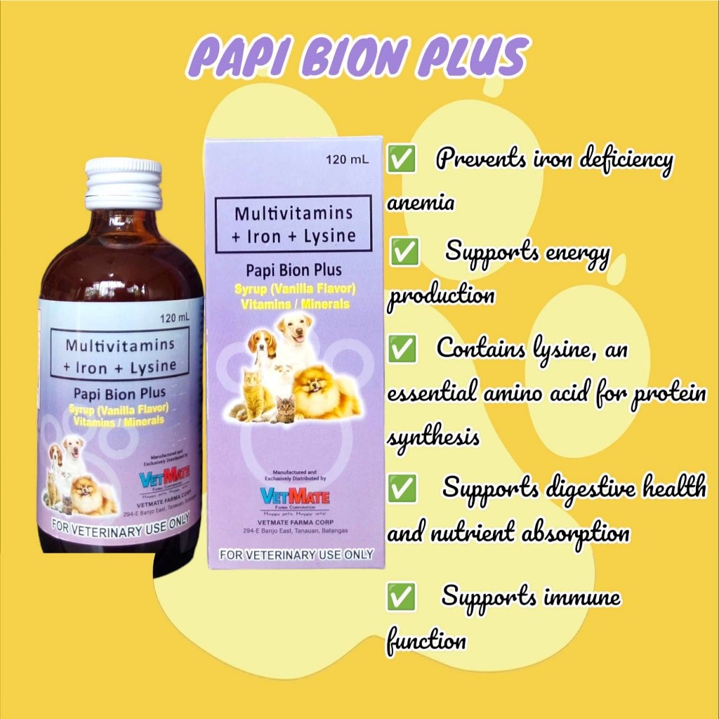 Papi Bion Plus 120mL Multivitamins + Iron + Lysine | Shopee Philippines