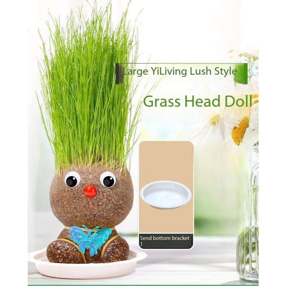 SS Grass head growing doll DIY toys | Shopee Philippines