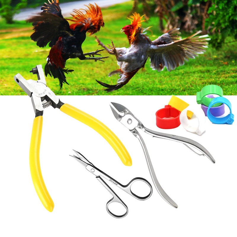 Gamefowl 3 IN 1 kit Stainless Wingband plier applicator Chicken toe ...