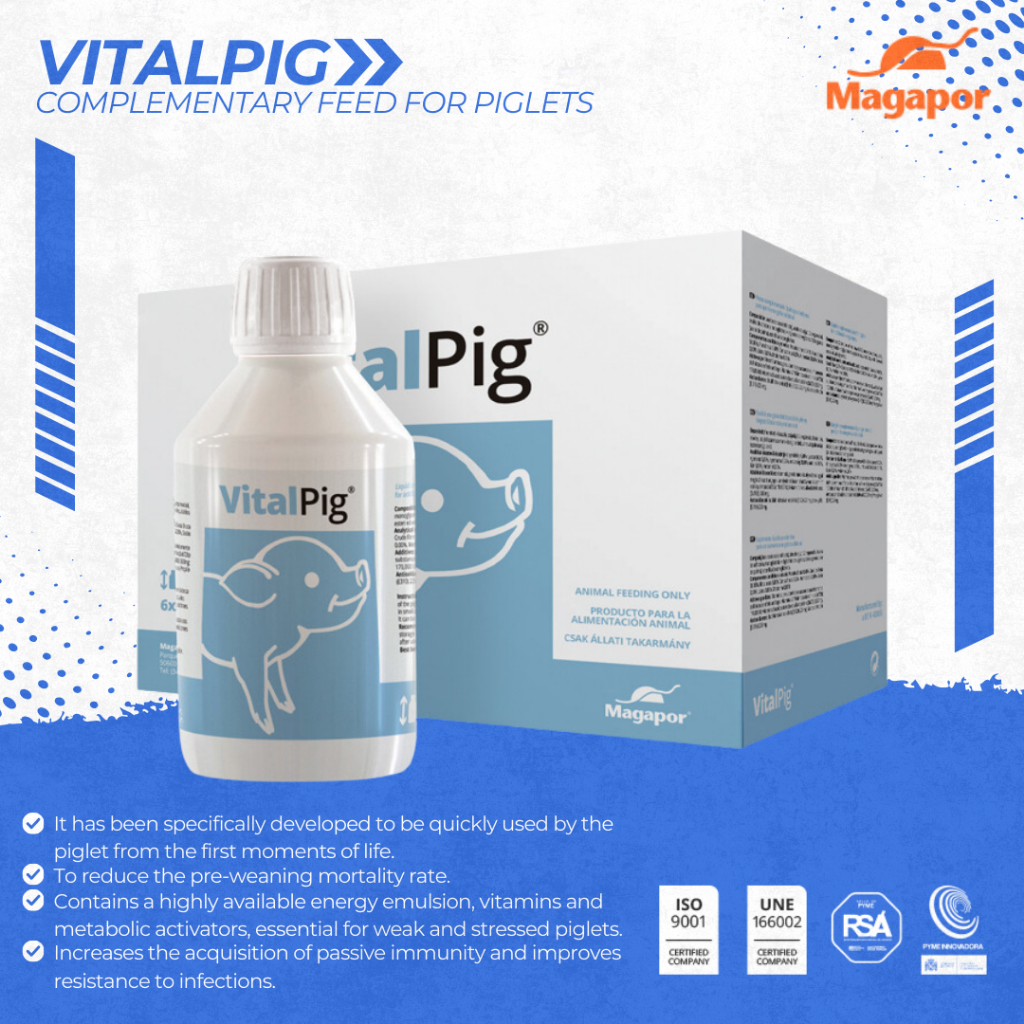 Vitalpig, Complementary Feed for Piglets 250ml | Shopee Philippines