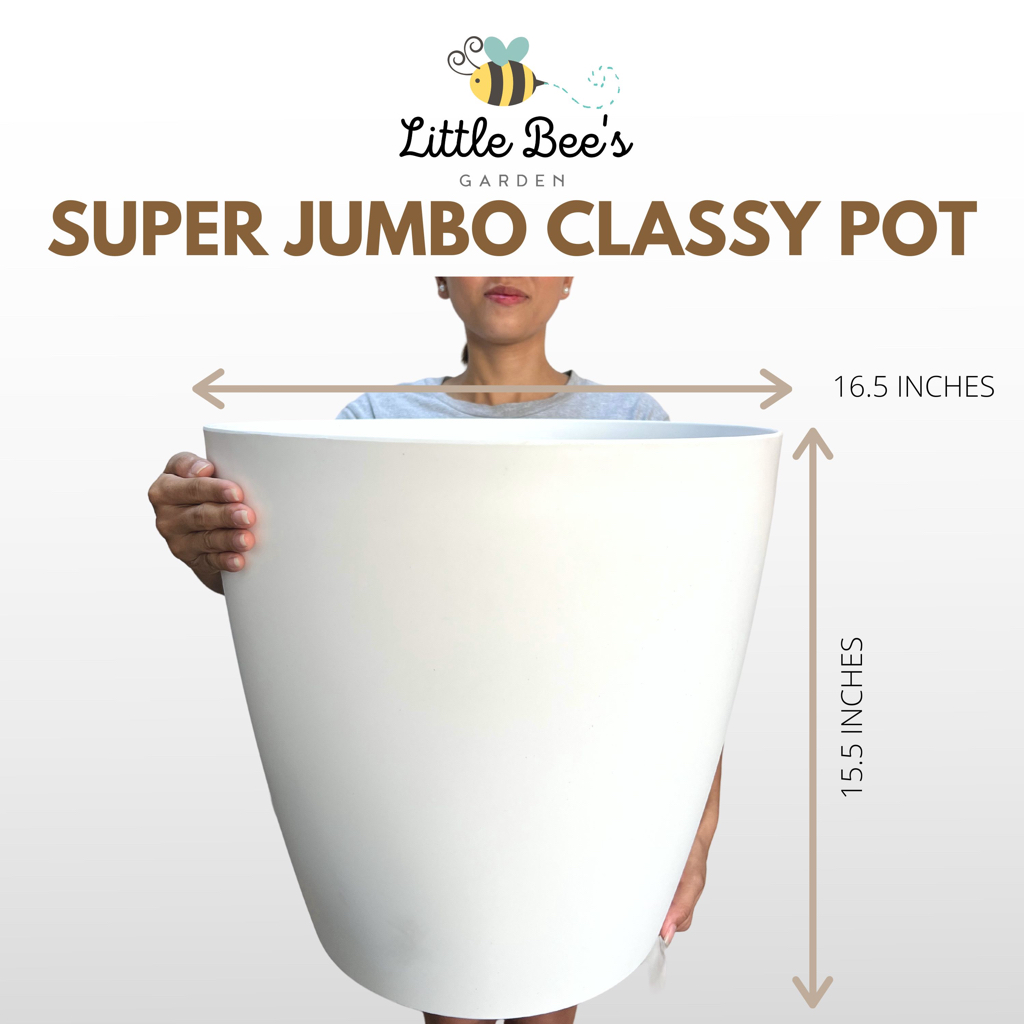 Jumbo Classy Minimalist Yayamanin White Pot | Super Jumbo Pots ...